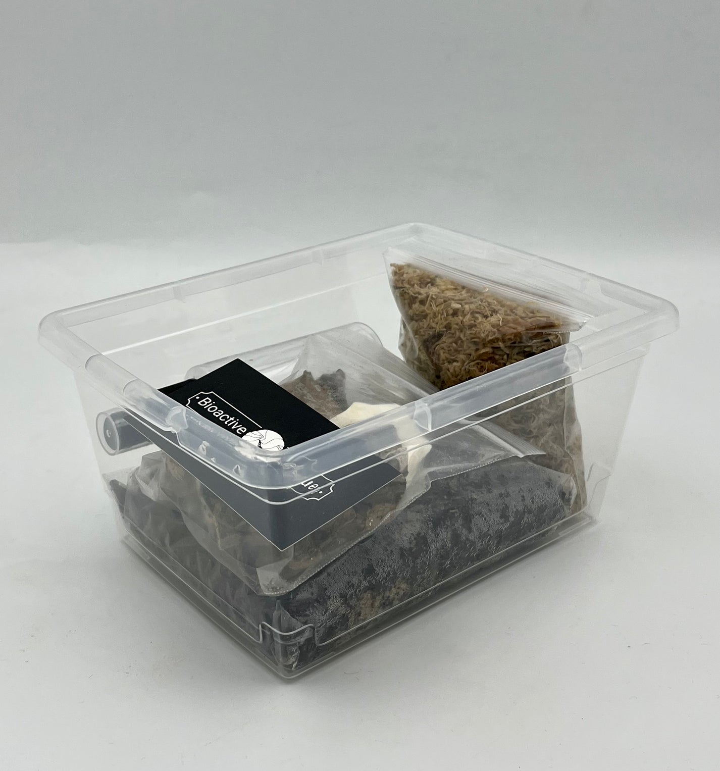 Small isopod starter kit – Bioactive Avenue